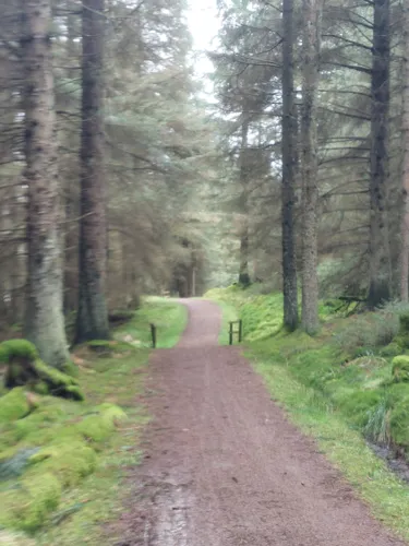 Best Partially Paved Trails in Kielder Forest | AllTrails