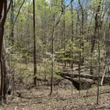 Berkeley Lake Nature Preserve Loop, Georgia - 66 Reviews, Map | AllTrails