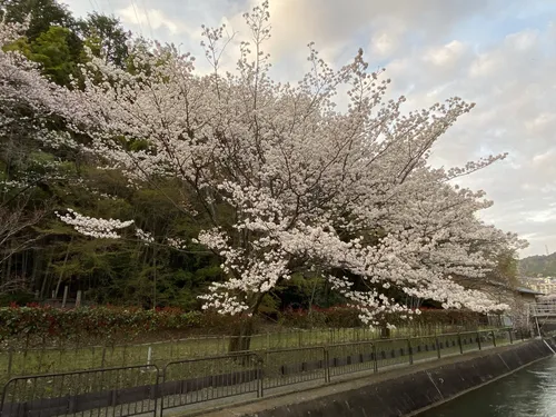 Best Bike Touring Trails in Kyoto | AllTrails