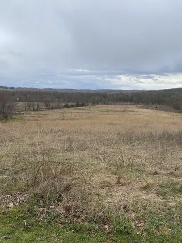 Best Hikes and Trails in Irvine Nature Center | AllTrails