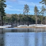 Westborough Reservoir Loop, Massachusetts - 493 Reviews, Map | AllTrails