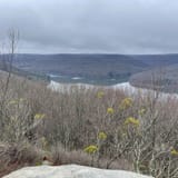 Rimrock Overlook Trail, Pennsylvania - 506 Reviews, Map | AllTrails