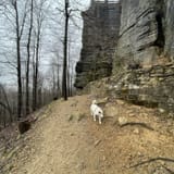 Rimrock Overlook Trail, Pennsylvania - 506 Reviews, Map | AllTrails