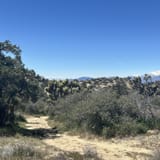 Panorama Loop, California - 2,889 Reviews, Map | AllTrails