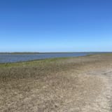 Oak Mott, Eskimo Curlew, and Clapper Rail Loop, Texas - 245 Reviews ...