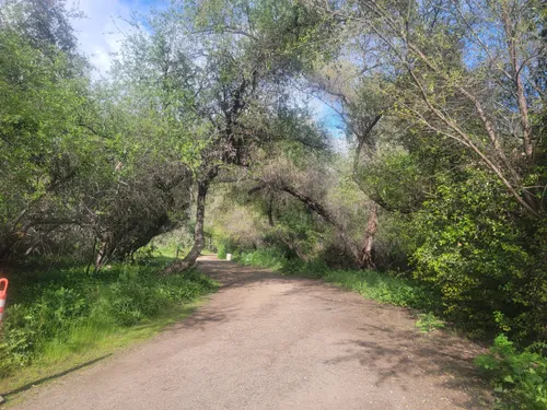 Best Hikes and Trails in Kit Carson Park | AllTrails