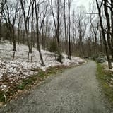 Cone Manor, Bass Lake, and The Maze Loop, North Carolina - 1,419 ...