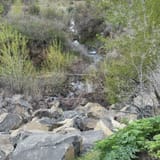 Bennington Lake Trail, Washington - 412 Reviews, Map | AllTrails