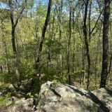 Kings Chair Loop, Alabama - 2,194 Reviews, Map | AllTrails