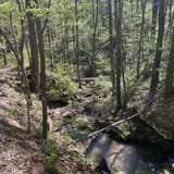 Kings Chair Loop, Alabama - 2,194 Reviews, Map | AllTrails
