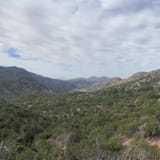 Carlito Springs Loop, New Mexico - 462 Reviews, Map | AllTrails