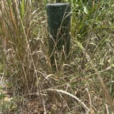 Magens Bay Beach Trail, Saint Thomas, US Virgin Islands - 349 Reviews ...