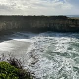Old Cove Landing Trail, California - 3,579 Reviews, Map | AllTrails