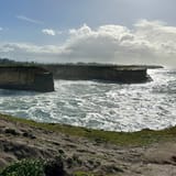 Old Cove Landing Trail, California - 3,579 Reviews, Map | AllTrails