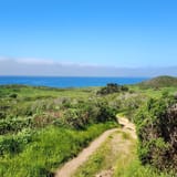 Alamere Falls via Coast Trail from Palomarin Trailhead, California ...
