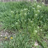 Hawk Ridge Trail, Missouri - 2,977 Reviews, Map | AllTrails