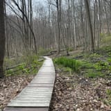 Neversink Trail Loop, Pennsylvania - 205 Reviews, Map | AllTrails
