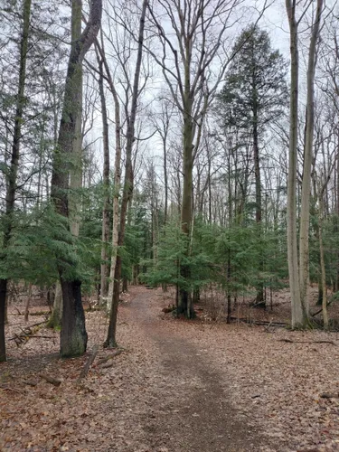 Best Kid Friendly Trails in Basom | AllTrails