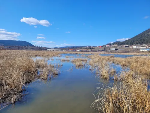 Best Hikes and Trails in Scout Island Nature Centre | AllTrails