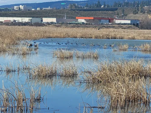 Best Hikes and Trails in Scout Island Nature Centre | AllTrails