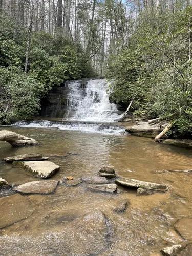 Best Mountain Biking Trails in Tiger | AllTrails