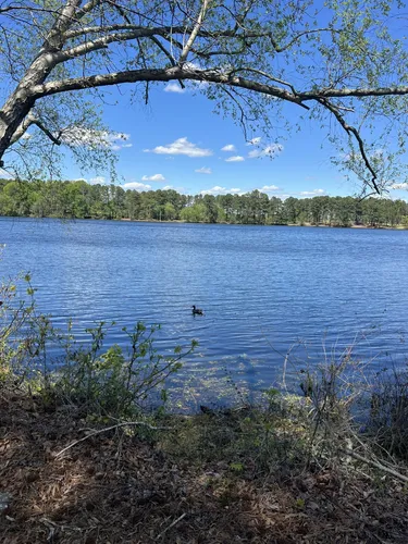 Best Hikes and Trails in Lake Wilson | AllTrails