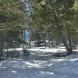 Meadow Loop and Ridge Trail, Colorado - 3,234 Reviews, Map | AllTrails