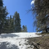 Meadow Loop and Ridge Trail, Colorado - 3,234 Reviews, Map | AllTrails