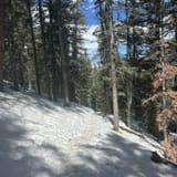 Meadow Loop and Ridge Trail, Colorado - 3,234 Reviews, Map | AllTrails