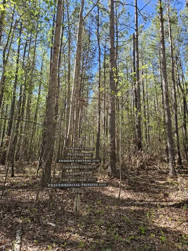 Best Hikes and Trails in Duke Forest | AllTrails