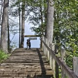 Poor Farm Park Trails, Virginia - 641 Reviews, Map | AllTrails