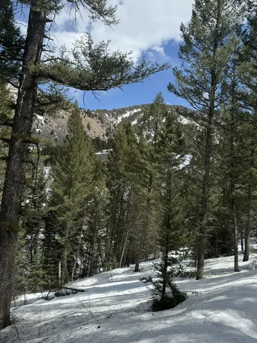 Best Kid Friendly Trails in Bridger-Teton National Forest - Jackson ...