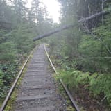 Wesley Ridge, British Columbia, Canada - 776 Reviews, Map | AllTrails