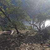 Wesley Ridge, British Columbia, Canada - 776 Reviews, Map | AllTrails