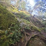 Wesley Ridge, British Columbia, Canada - 776 Reviews, Map | AllTrails