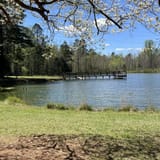 Brumley Nature Preserve Loop, North Carolina - 518 Reviews, Map | AllTrails