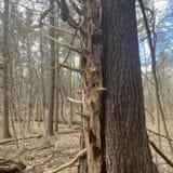 Luton Park Trail, Michigan - 1,106 Reviews, Map | AllTrails