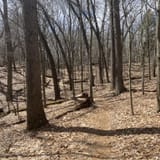 Luton Park Trail, Michigan - 1,106 Reviews, Map | AllTrails