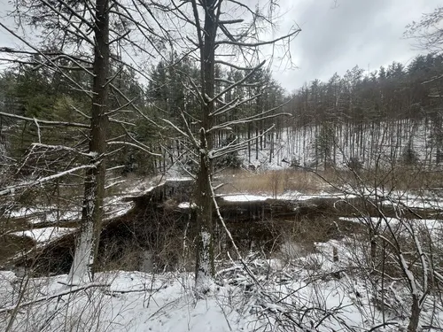 Best Easy Trails in October Mountain State Forest | AllTrails