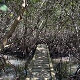 Wildcat Cove Preserve Loop, Florida - 85 Reviews, Map | AllTrails