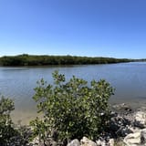 Wildcat Cove Preserve Loop, Florida - 85 Reviews, Map | AllTrails