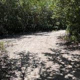 Wildcat Cove Preserve Loop, Florida - 85 Reviews, Map | AllTrails