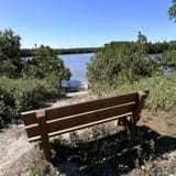 Wildcat Cove Preserve Loop, Florida - 85 Reviews, Map | AllTrails