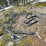 Mount Esther Trail, Colorado - 448 Reviews, Map | AllTrails