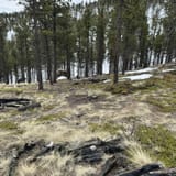 Mount Esther Trail, Colorado - 448 Reviews, Map | AllTrails