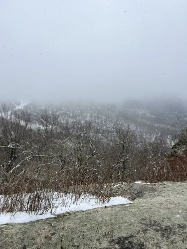 Emerald Outback Trail System : de beste routes om te wandelen | AllTrails