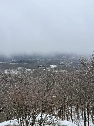 Emerald Outback Trail System : de beste routes om te wandelen | AllTrails