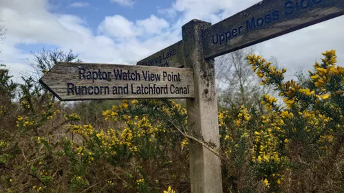 Best Hikes and Trails in Wigg Island Community Park | AllTrails