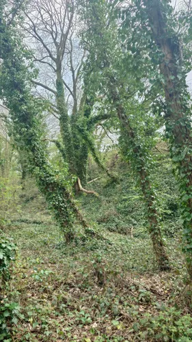 Best Hikes and Trails in Wigg Island Community Park | AllTrails