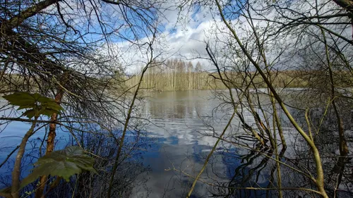 Best Hikes and Trails in Wigg Island Community Park | AllTrails